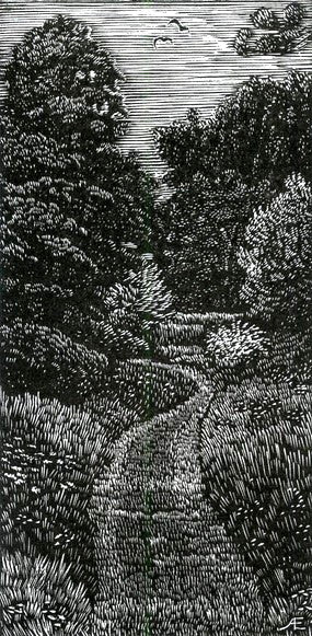 Meadow Path – Andy English